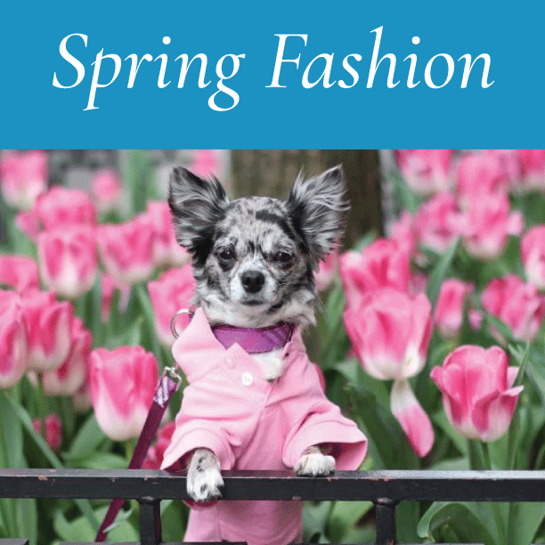 spring fashion on Make a GIF