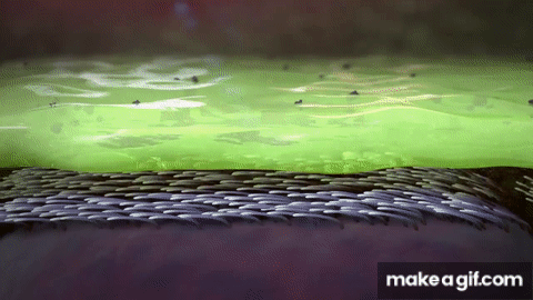 Cystic Fibrosis Mucus in Lungs on Make a GIF