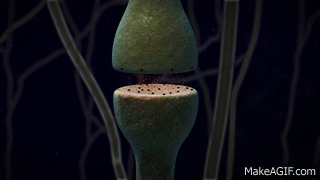 Chemical Synapse Animation on Make a GIF