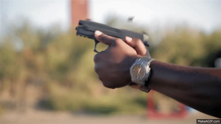 Sig Sauer P229 Legion Series on Make a GIF
