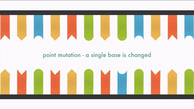 Mutations in DNA on Make a GIF