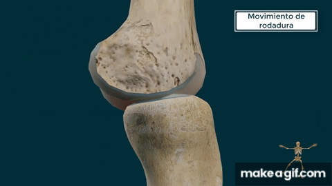 Articulación de la Rodilla on Make a GIF