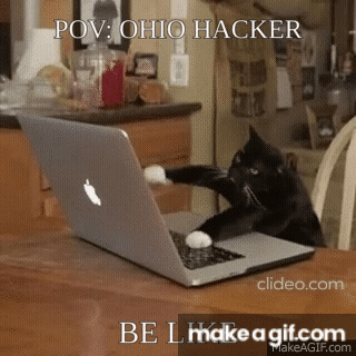 ohio hacker be like on Make a GIF