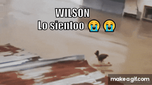 Wilson Lo Siento GIF - Wilson lo siento - Discover & Share GIFs on Make ...
