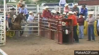 Roping on Make a GIF