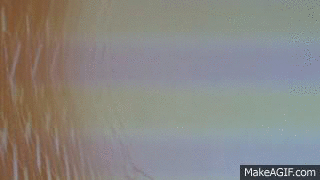 Transcendence on Make a GIF