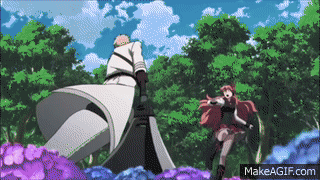 Akame Ga Kill! [AMV] - Night Raid Deaths - Skillet Hero [AMV] on Make a GIF