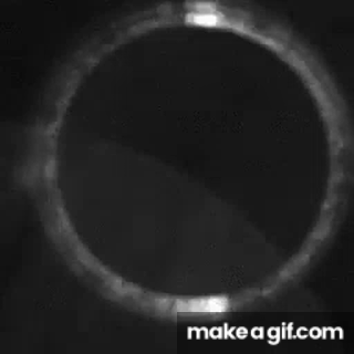 Stable Pulses in a Rotating Detonation Engine on Make a GIF