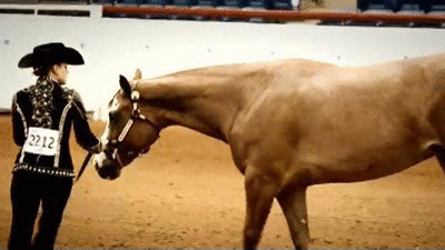 Showmanship on Make a GIF