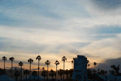 The setting sun and rad tunes have set the palm trees dancing at... on ...