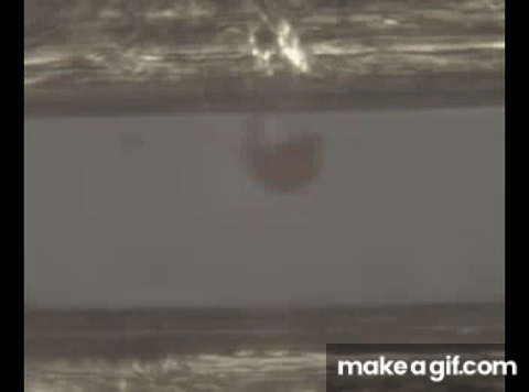 Janus Particles - Cospheric Microspheres (Bichromal and Bipolar ...