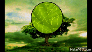 Xylem and Phloem on Make a GIF