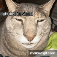 ugly cat to sigma cat on Make a GIF