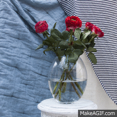 HOW TO . DULCINEA HOME on Make a GIF