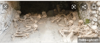 Biodegradable examples on Make a GIF