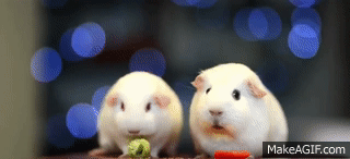 Vive pro sporadic audio loss : r/Vive