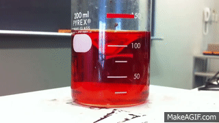 Belousov-Zhabotinsky reaction on Make a GIF