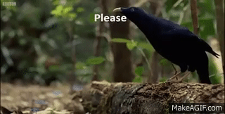 Lemme Smash (Original) on Make a GIF