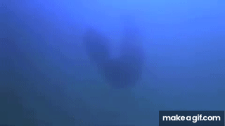 Dexter dumping bodies on Make a GIF