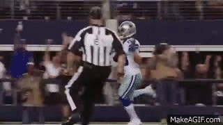 Every Touchdown of 2014 Dallas Cowboys on Make a GIF