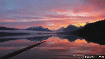 Gif Wallpaper Hd Nature Sounds - Infoupdate.org