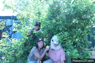Empat Lima in the lemon tree on Make a GIF