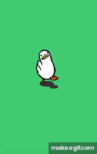 Cute Duck Gif Animated