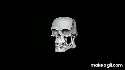 Caveira - BAD TO THE BONE (meme base) on Make a GIF