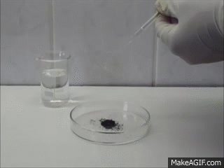 Potassium In Water Gif