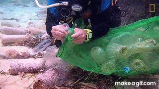 Here's How Much Plastic Trash Is Littering the Earth | National ...