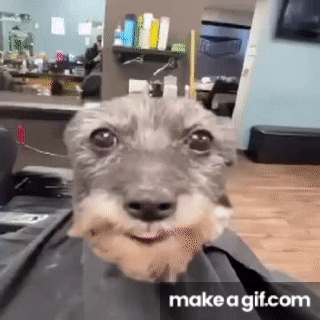 Skibidi, Edge, Rizz. on Make a GIF