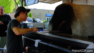 pizza making on Make a GIF