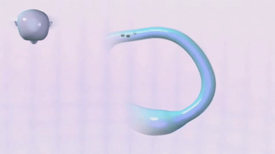 Sistema Vestibular e Movimentos da Cabeça on Make a GIF