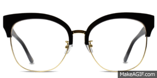 Glasses on Make a GIF