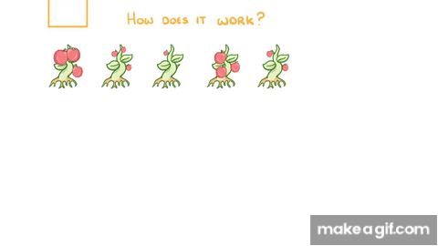 Selective Breeding on Make a GIF