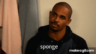 Pics Photos Sponge