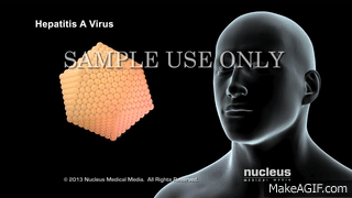 Hepatitis A and B | Nucleus Health on Make a GIF