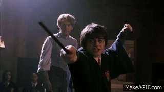 Harry Potter and the Chamber of Secrets: Harry Potter and Draco Malfoy ...