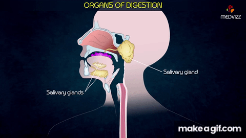 fq3XuR is an Animated GIF Image on Make a GIF