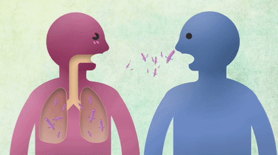 How The Body Reacts To Tuberculosis | MSF | on Make a GIF