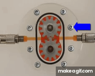 Learn Hydraulics:: External gear motor on Make a GIF
