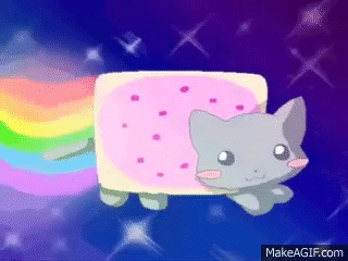 Anime Cat :3 on Make a GIF