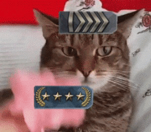 When you got ranked up on Make a GIF