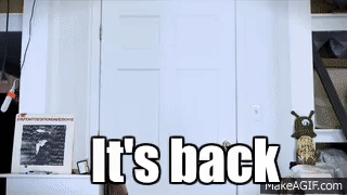 It's back on Make a GIF