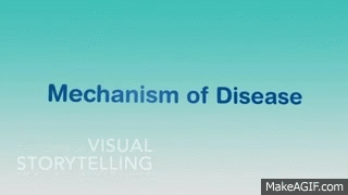 Hepatitis B Treatment Mode of Action Animation on Make a GIF