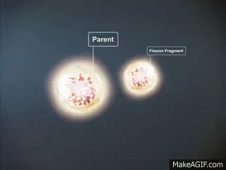 fission reaction atomic bomb on Make a GIF