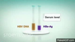 Hepatitis B Treatment Mode of Action Animation on Make a GIF