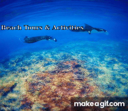 Airlie Beach Tours & Activities on Make a GIF