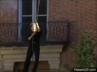 Disney's George of the Jungle: "Watch out for that...." on Make a GIF