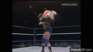 Roddy Piper vs "Mr. Perfect" 1991 on Make a GIF
